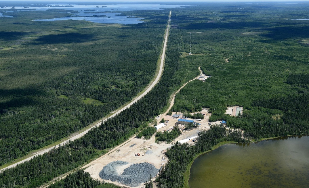 If you go down to the woods…