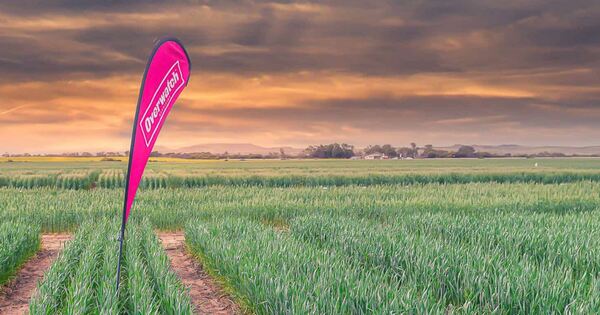 New mode of action herbicide approved for use