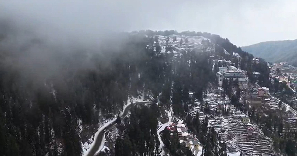 Orange alert in four districts of Himachal Pradesh; IMD issues alert ...