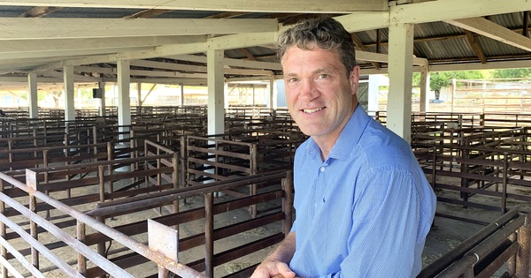 Australian cattle market could be in for a price upside
