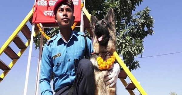 Nepal Police honours best performing service dogs on "Day of Dog"