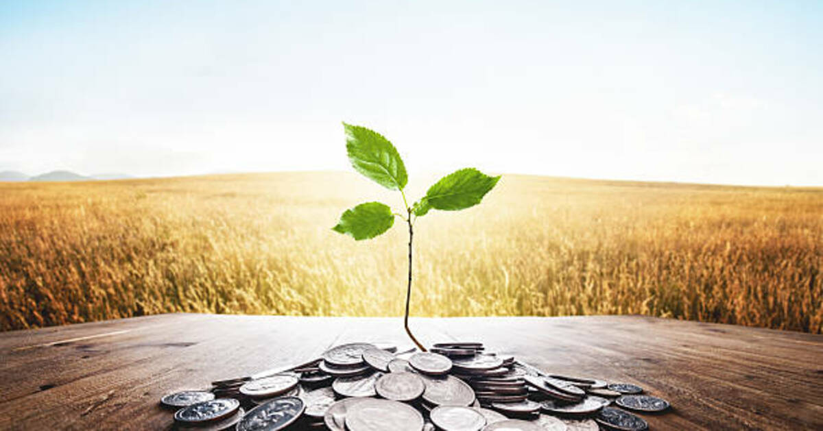 Allianz unveils dashboard to track transition to net zero