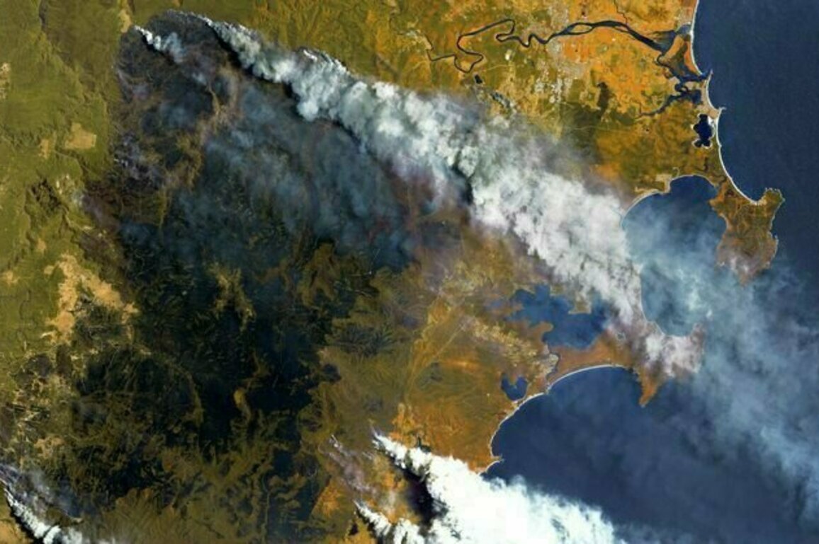 Gone in a puff of smoke: 52,000 sq km of 'long unburnt' Australian ...
