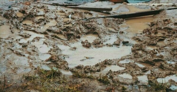 There's an outbreak of melioidosis in north Queensland. Here's what to ...