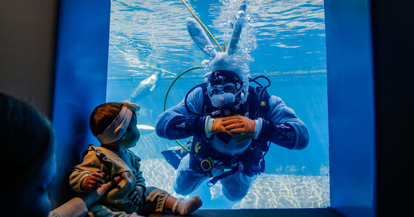 CANADA-VANCOUVER-EASTER-SCUBA BUNNY