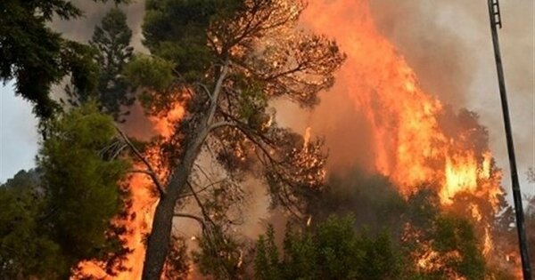 Massive Forest Fires Erupt across Lebanon