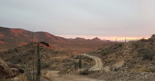 Kinterra matches CAML bid for New World