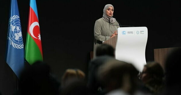 COP29: Minister of Climate Change and Environment reaffirms UAE's ...