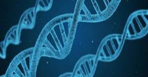 Study gives explanation for severe graft-versus-host disease