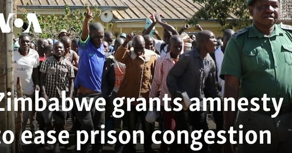 Zimbabwe grants amnesty to ease prison congestion