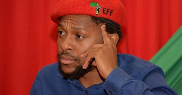 'We feel their pain' - EFF on Ausi Mantwa Khoza's death