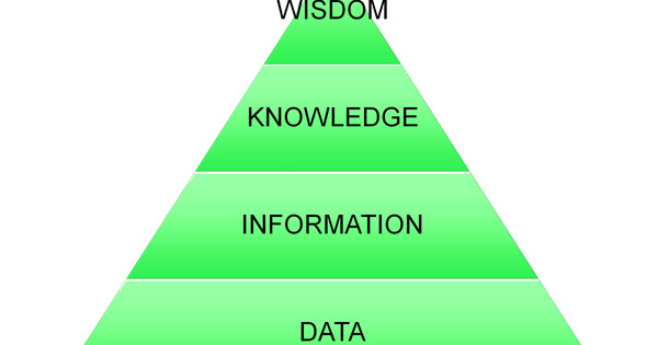 From data to wisdom