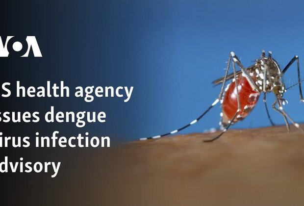 US health agency issues dengue virus infection advisory