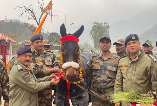 Army Day 2023: Army Mule awarded Chief of Army Staff Commendation Card