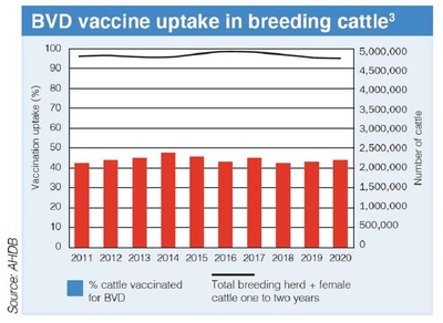 Annual Health & Welfare Review launched with a focus on BVD | Farm News ...