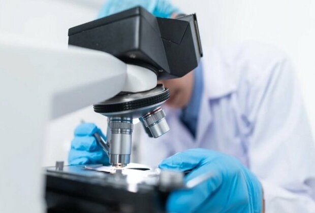 Wearable ultrasound monitors can help with injury rehabilitation: Study