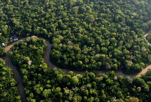 EU Steps in to Boost Amazon Rainforest Protection Plan