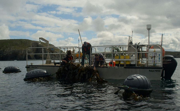 Welsh seaweed fertiliser helps boost silage yields | Farm News ...