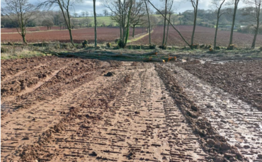 Farmer sentenced after cutting down trees in Herefordshire | Farm News ...