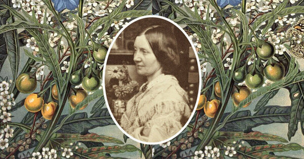 Hidden women of history: the Australian children's author who captured ...