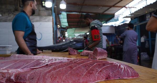 Libya's peak tuna season revitalizes markets, sustains fisheries sector