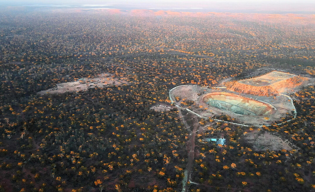 Wattle Dam in golden bloom for Maximus