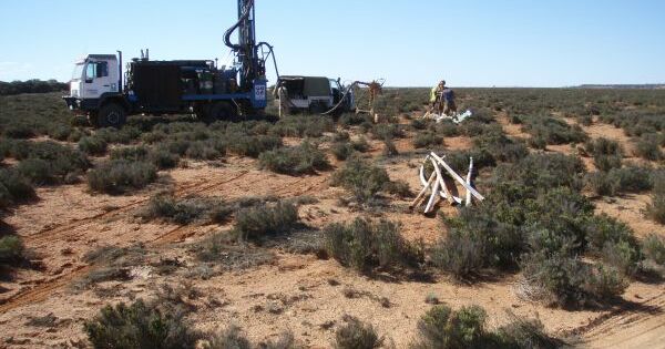 Toro flags improved numbers