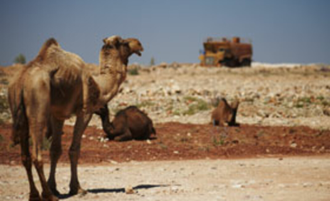 Telfer's head in the clouds