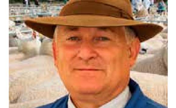 View from the rostrum: Live auction marts are thriving | Farm News ...