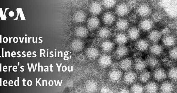 Norovirus Illnesses Rising; Here's What You Need to Know