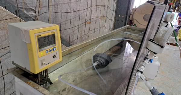 Caffeine boost from Cobra's REE recovery testing