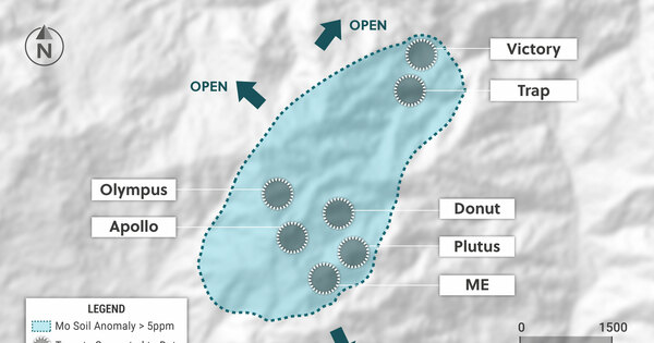 Collective confirms Plutus discovery