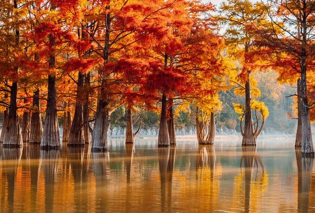 10 ideas for a fall trip to Russia
