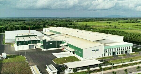 Entobel Sets Industry Record with Opening of the Largest Insect Protein ...