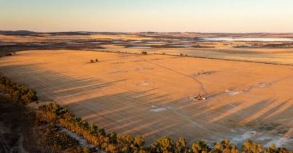 Caravel chasing copper plant designers