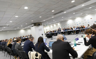 COP29: Why business leaders want a 'clear commitment to transition away ...