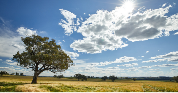 ASM boosts cash for Dubbo rare earths progress ASM boosts cash for Dubbo rare earths progress