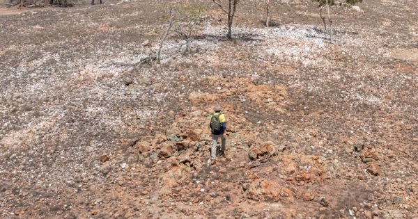 Sunshine scales up Liontown resource