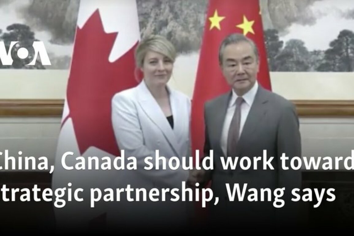 China, Canada should work toward strategic partnership, Wang says