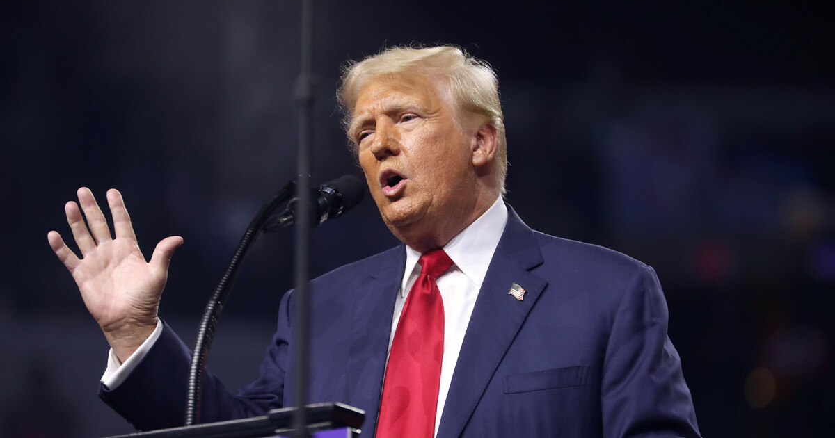 Donald Trump wins US presidential election