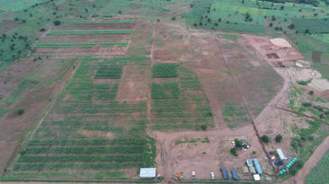 Mining Companies News | Mining Journal