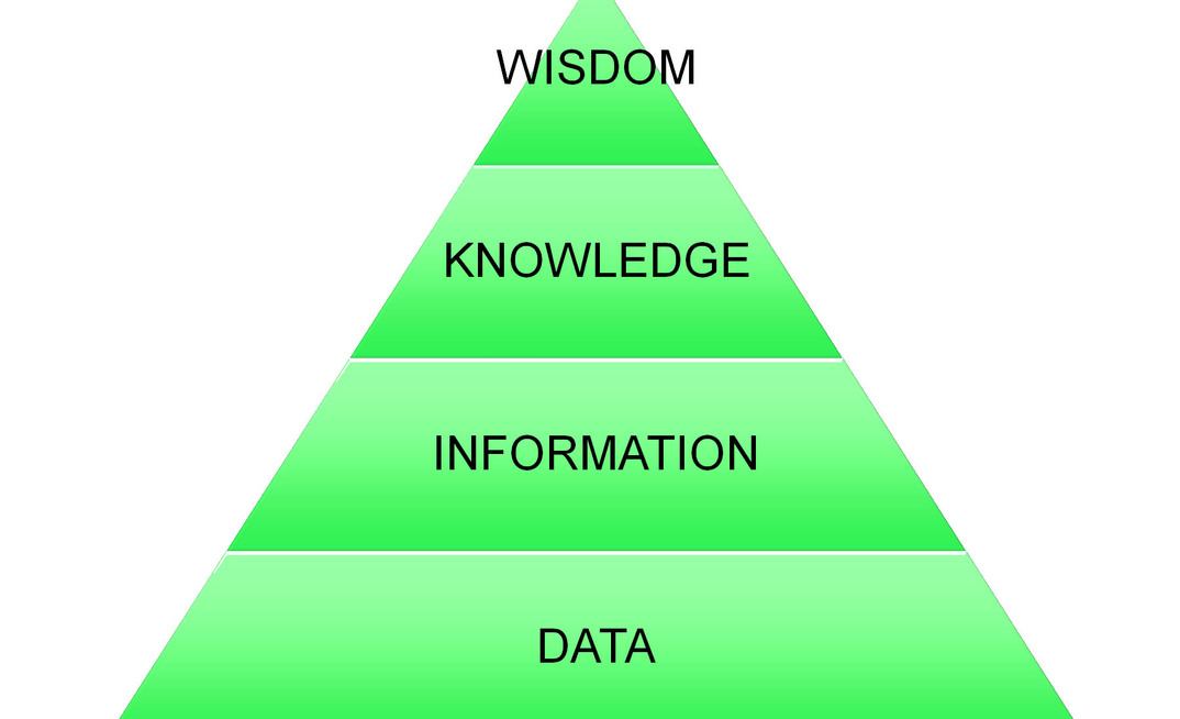 From data to wisdom