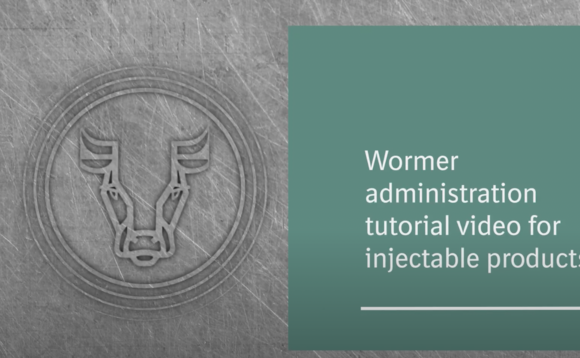 CATTLE Wormers: How to apply INJECTION products | Farm News | Farmers ...