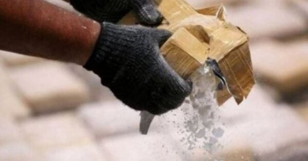Hyderabad customs destroys drugs weighing over 8,000 kgs under 'Say no ...