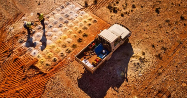 Modest Mosaic gold encouragement for Musgrave as Cue pattern drilling ...