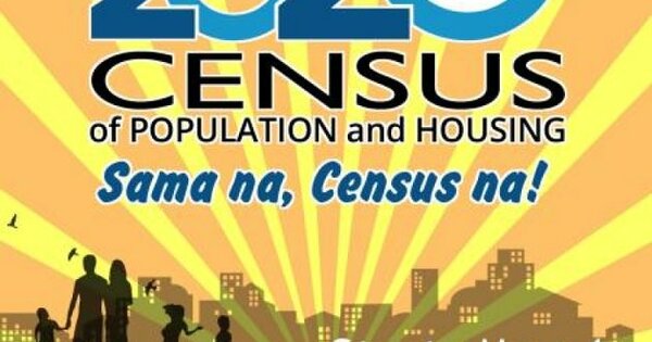 2020 Census allows assisted telephone interview