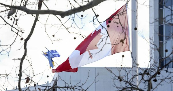 Canadian miner Arbor pushes for critical mineral funding