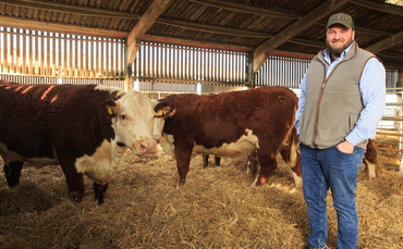 Beef special: Pedigree and commercial focus for Herefords on ...