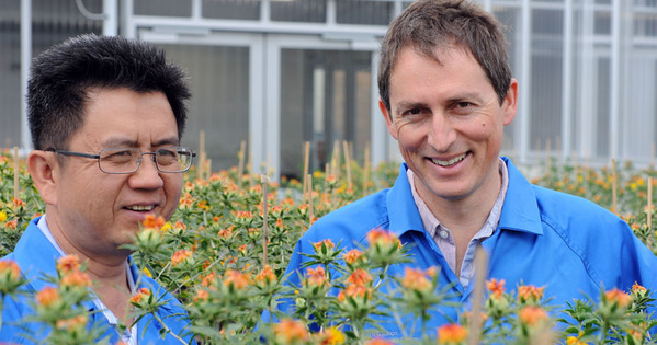 CSIRO genetic tech breakthroughs changing the sector