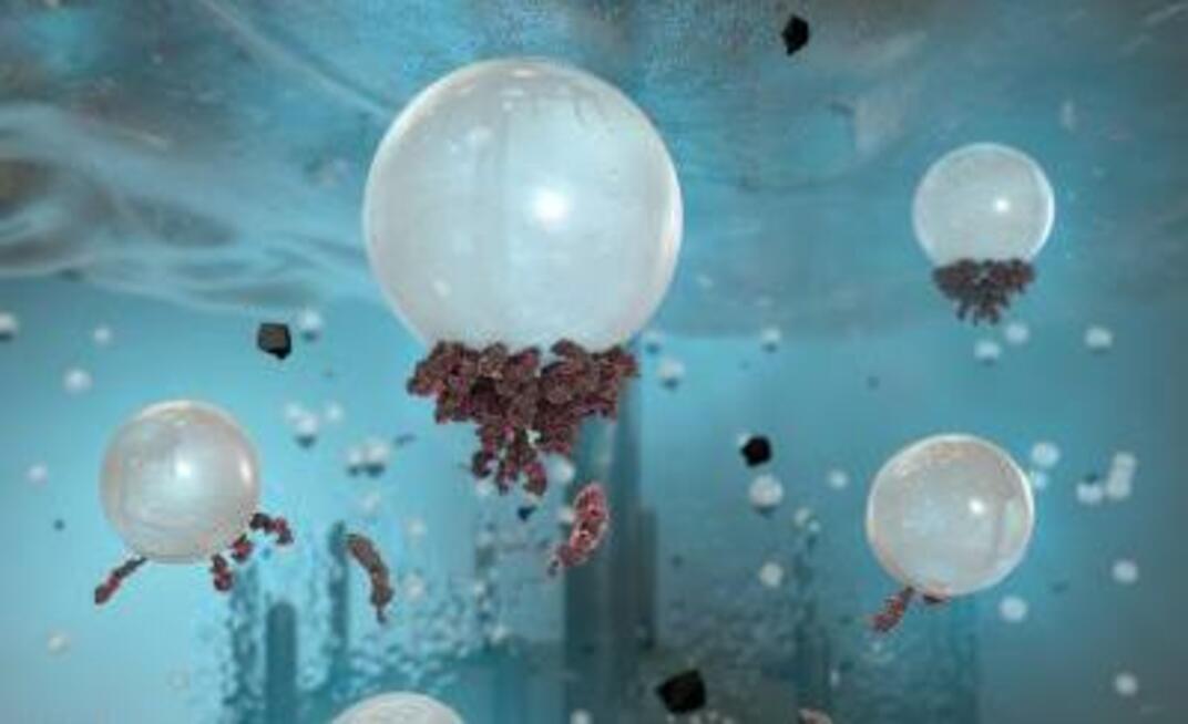 Bioflotation on the horizon for copper